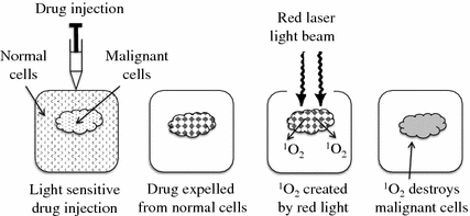 Light-Tissue Interactions | SpringerLink