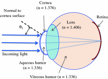 Light-Tissue Interactions | SpringerLink