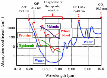 Light-Tissue Interactions | SpringerLink