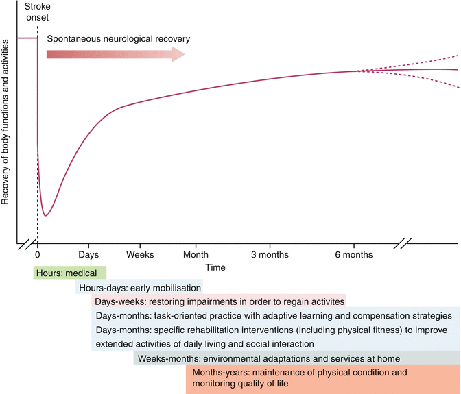 Rehabilitation in Subacute and Chronic Stage After Stroke | SpringerLink