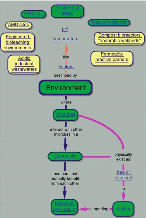 Bioleaching and Biomining | SpringerLink