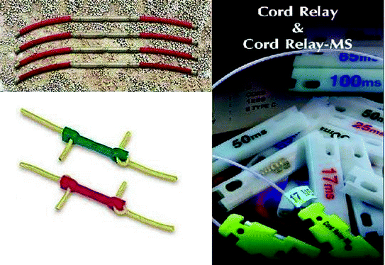 Initiation System | SpringerLink