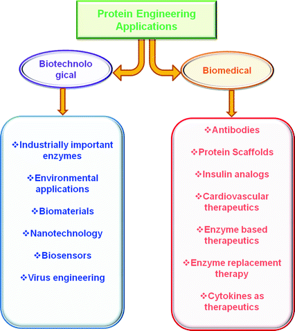 Biotechnological and Biomedical Applications of Protein Engineering ...