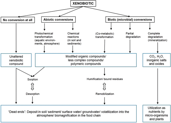 Environmental Xenobiotics and Its Effects on Natural Ecosystem ...