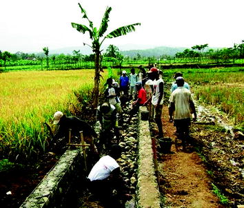 Community Participation in Rural Development | SpringerLink