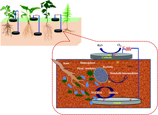 Microbial Electrochemical Platform: Biofactory with Diverse ...