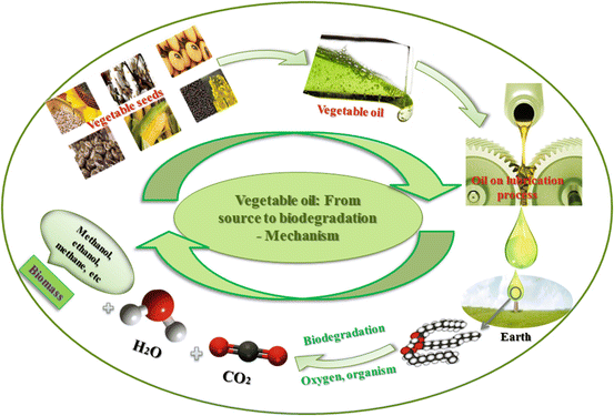 Biodegradable, Renewable, and Eco-friendly Vegetable Oil: Lubricants ...