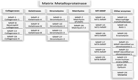 Matrix Metalloproteinases (MMPs) in Cancer Initiation and Progression ...