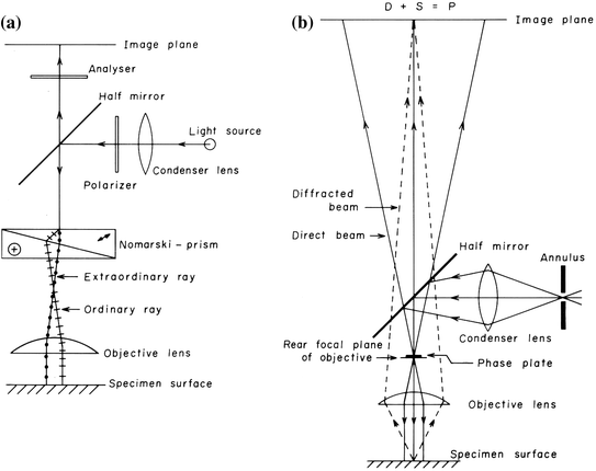 Differential Interference Contrast Microscopy/Phase-Contrast Microscopy ...