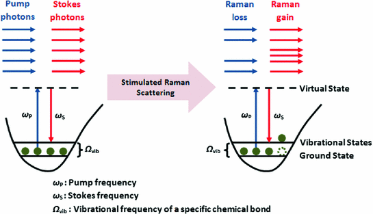 Stimulated Raman Scattering Microscopy for Brain Imaging: Basic ...