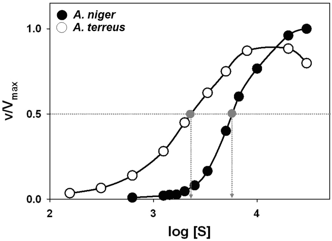 Enzyme Kinetic Data: Collection and Analysis | SpringerLink