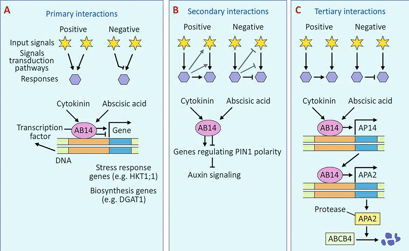 Signal Perception and Transduction | SpringerLink