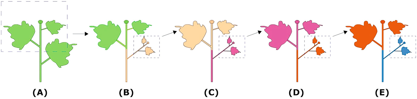 Physiology of Flowering | SpringerLink