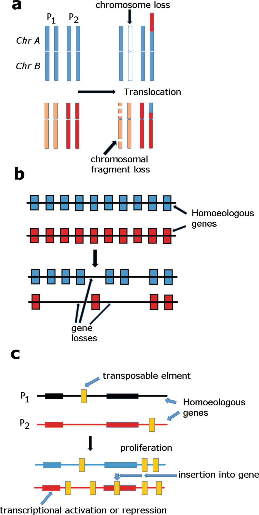 Induced Mutations and Polyploidy Breeding | SpringerLink