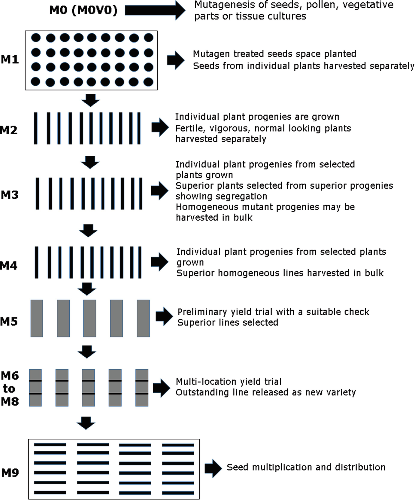Induced Mutations and Polyploidy Breeding | SpringerLink
