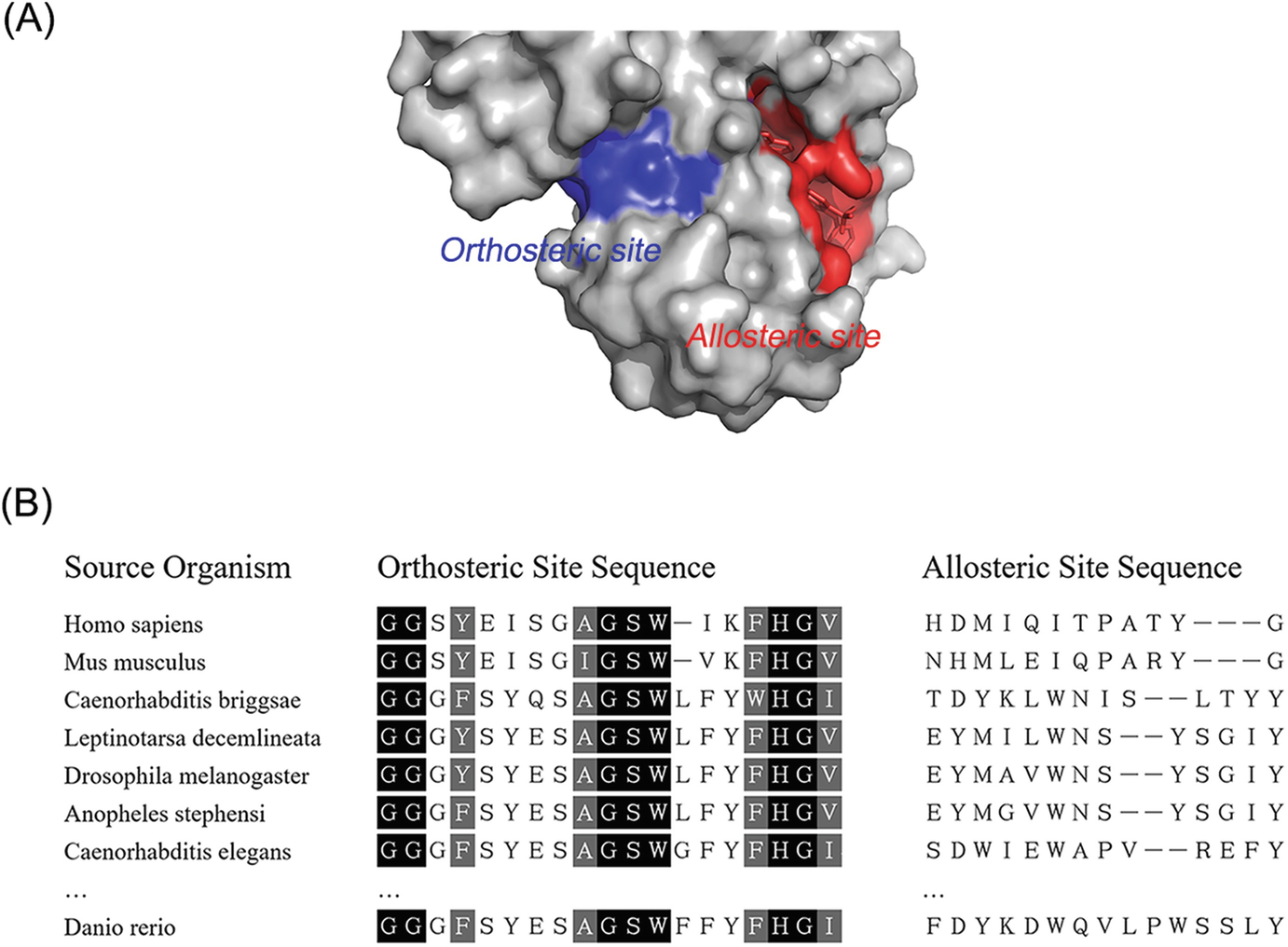 Characteristics of Allosteric Proteins, Sites, and Modulators ...