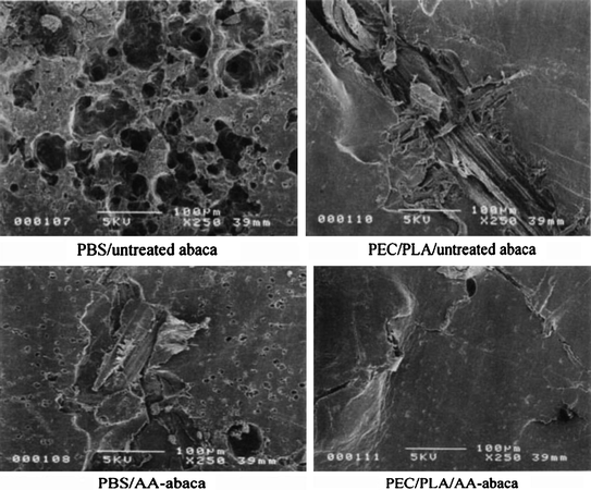 Biodegradation Studies of Textiles and Clothing Products | SpringerLink