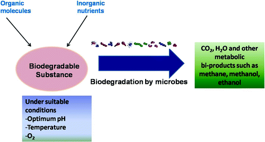 Biodegradation Studies of Textiles and Clothing Products | SpringerLink
