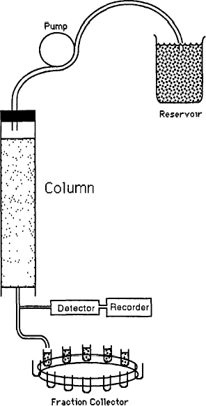 Ion-Exchange Chromatography | SpringerLink
