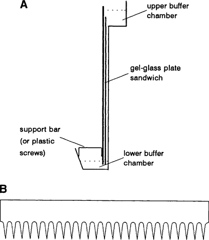 Preparation and Analysis of DNA Sequencing Gels | SpringerLink