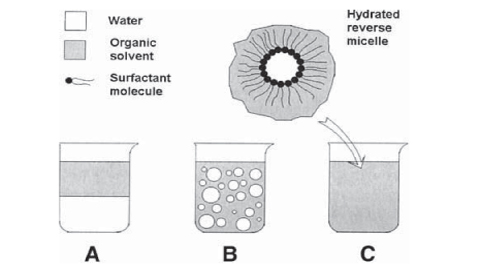 Reverse Micellar Systems | SpringerLink