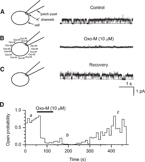 Single-Channel Recording | SpringerLink