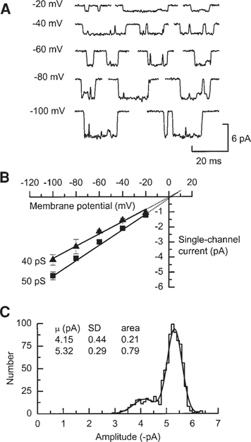 Single-Channel Recording | SpringerLink