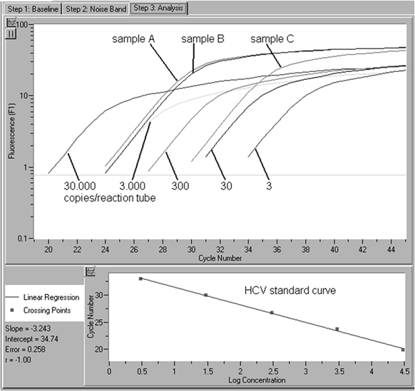 Semi-Quantitative Detection of Hepatitis C Virus RNA by “Real-Time” RT ...