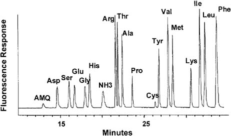 Amino Acid Analysis Using Pre-Column Derivatization with 6 ...