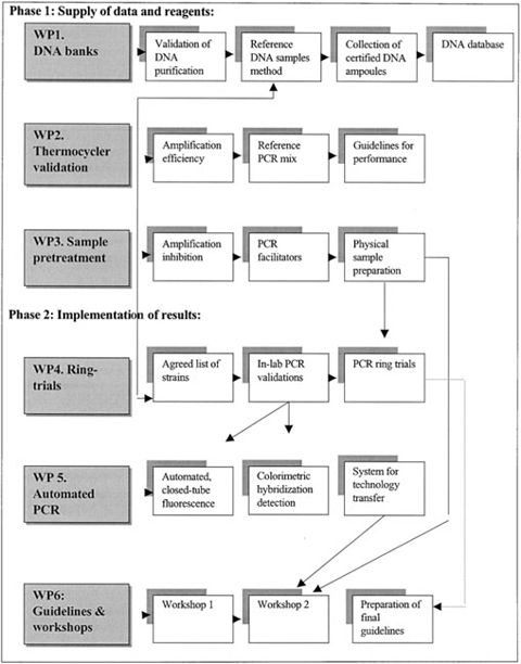 Critical Aspects of Standardization of PCR | SpringerLink