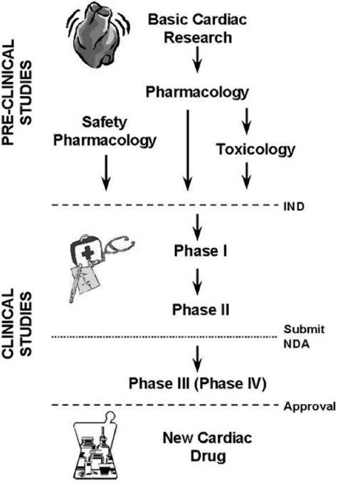 Cardiac Drug Development | SpringerLink