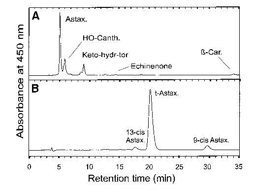 Xanthophylls in Fungi | SpringerLink