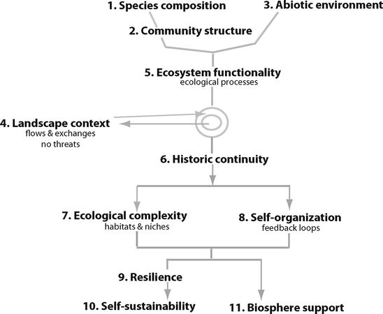 Ecological Attributes of Restored Ecosystems | SpringerLink