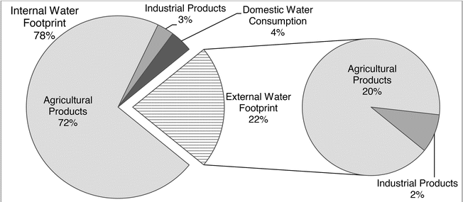 Water Footprint | SpringerLink