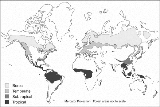 Forest Types around the World | SpringerLink
