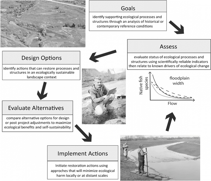 Ecological Theory and Restoration Ecology | SpringerLink