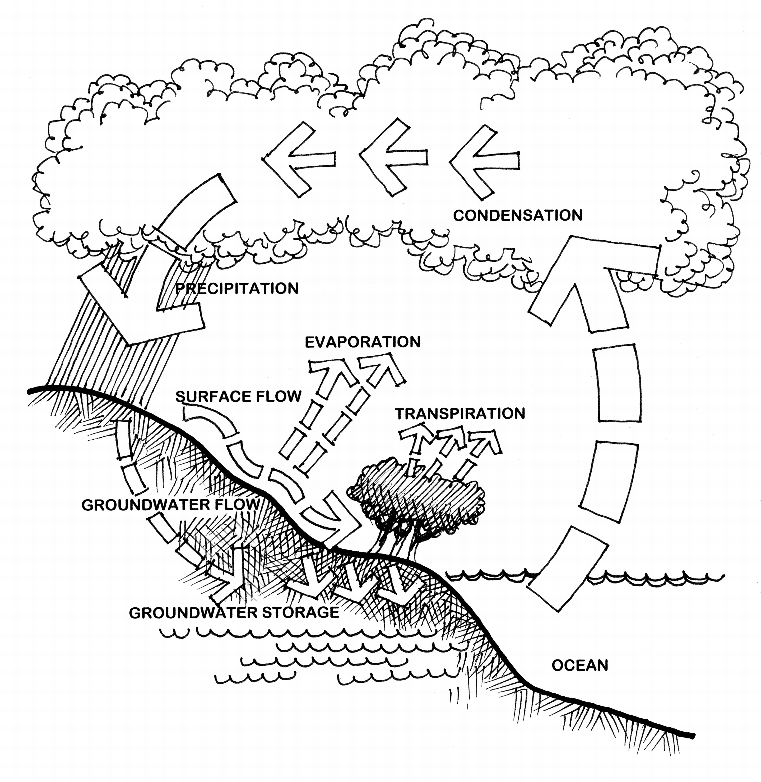 The Biophysical Landscape | SpringerLink