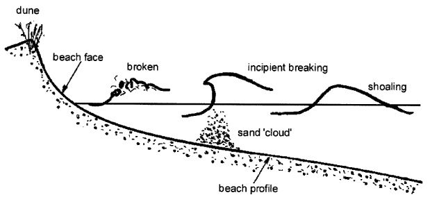Surf Zone Processes | SpringerLink