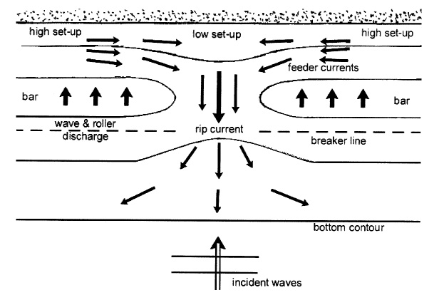 Surf Zone Processes | SpringerLink