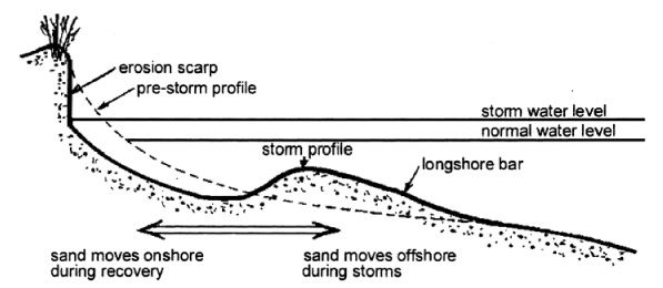 Surf Zone Processes | SpringerLink