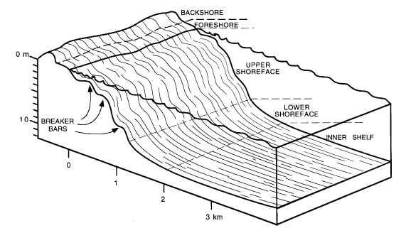 Coastal Sedimentary Facies | SpringerLink