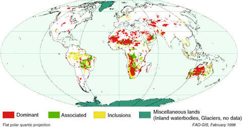 Arenosols | SpringerLink