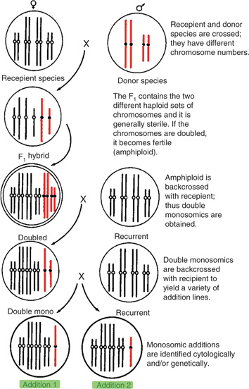 Alien Addition | SpringerLink