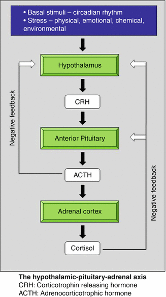 Hypothalamic-Pituitary-Adrenal Axis | SpringerLink
