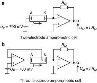 Amperometry | SpringerLink