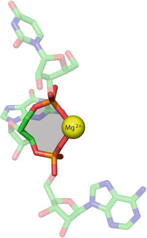 Magnesium in Biological Systems | SpringerLink