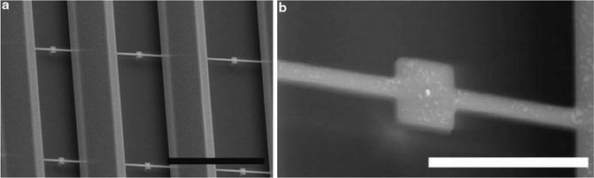 Electron Beam Lithography (EBL) | SpringerLink