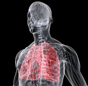 Poor lung function in midlife predicts cognitive decline in men lacking ...
