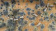 Deep Learning Applications in Animal Ecology - Latest research and news ...