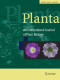 Plant Cell Biology - Recent articles and discoveries | Springer Nature Link